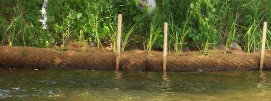 Shoreline Stabilization – Big Sandy Area Lakes Watershed Management Project