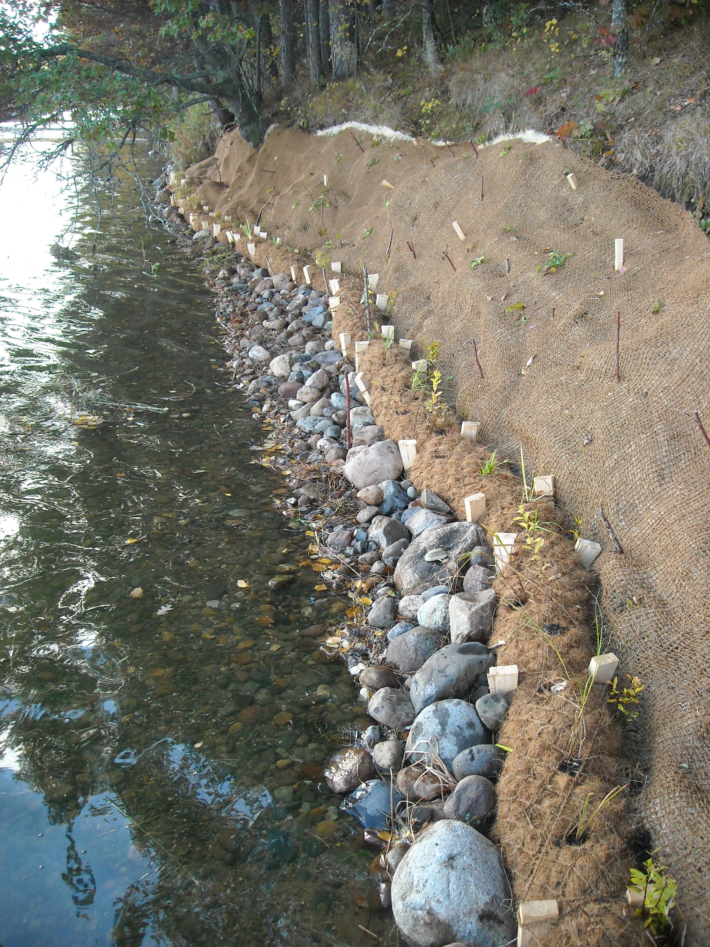 Shoreline Stabilization – Big Sandy Area Lakes Watershed Management Project