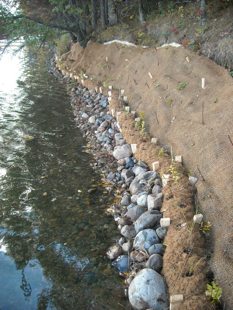 Shoreline Stabilization – Big Sandy Area Lakes Watershed Management Project